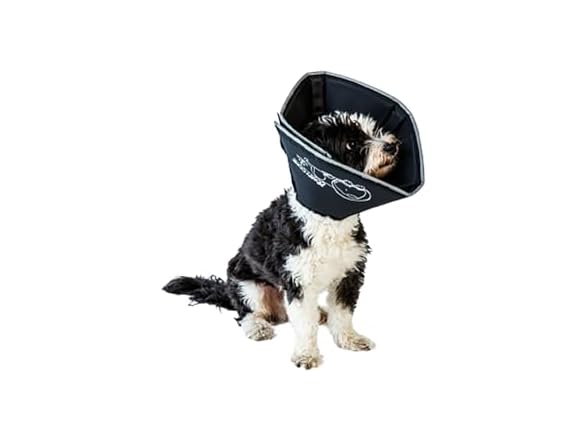 All Four Paws Comfy Cone Pet Cone