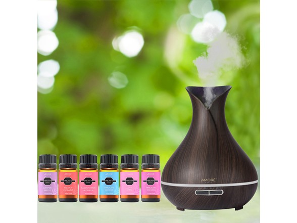 Diffuser Vase Bundles w/6-Pk Oils, Fragrance Collection
