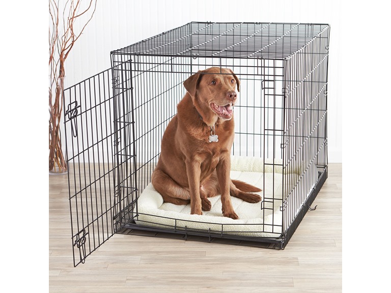 Discount Pet Supplies | Home & Kitchen | Woot