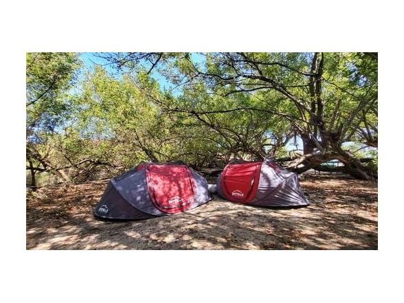 Instant Set-up 4 Person Pop-up Tent