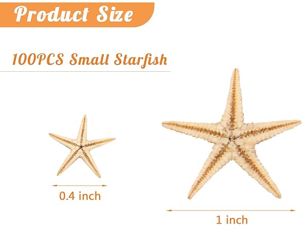 Winspeed 100pc Decorative Starfish W/ Box