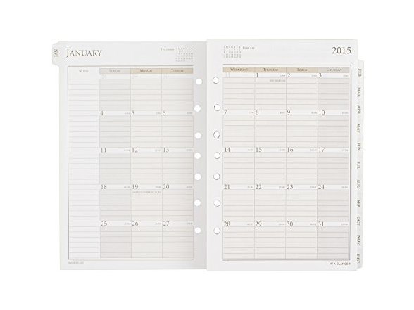 Day Runner 2015 Two-Pages-Per-Day Planning Pages, 5 1/2 x 8 1/2