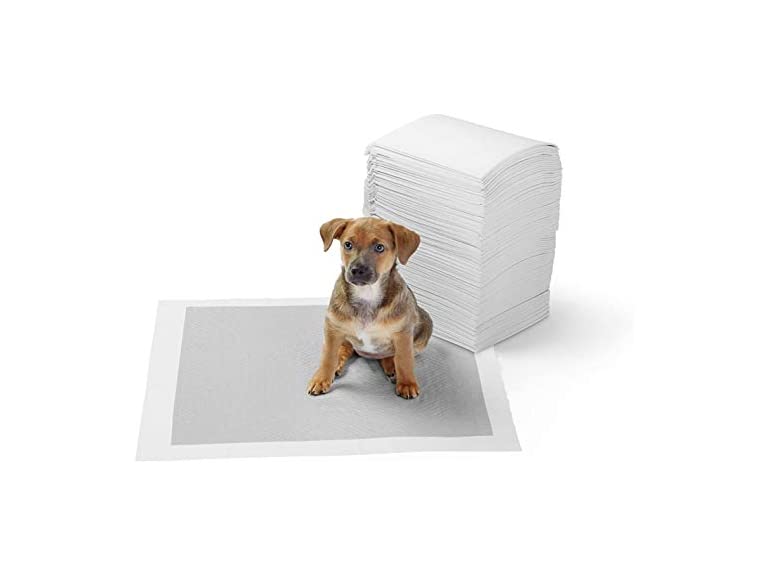 Discount Pet Supplies | Home & Kitchen | Woot