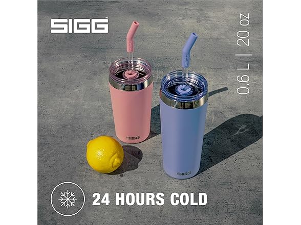 SIGG Insulated Travel Mug 20 Oz