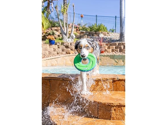 Chuckit! Amphibious ZipFlight Floating Flying Disc
