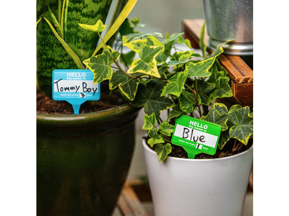 Plant Name Badges