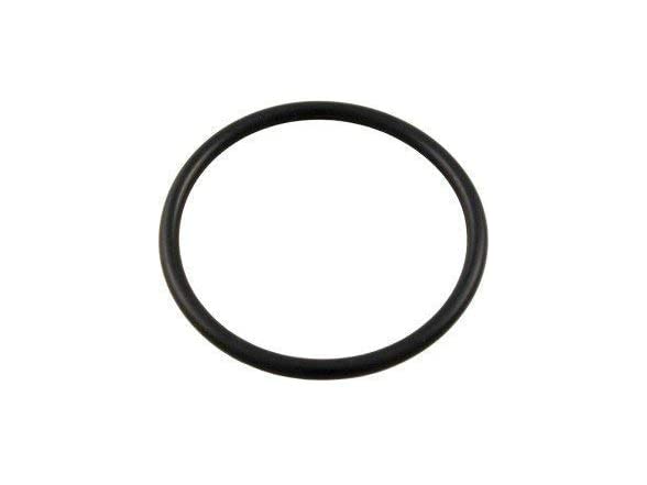 Swimming Pool Pump Lid Cover O-Ring