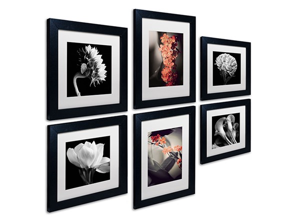 Floral Gallery Wall Collection Set of 6