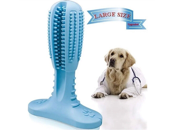 Dog Toothbrush Chewing Bone