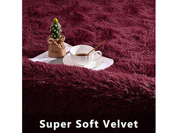 Jocovieh Soft Wine Red Rug, 6x9 Feet