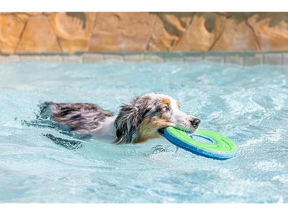 Chuckit! Amphibious ZipFlight Floating Flying Disc