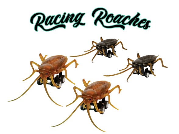 Archie McPhee Racing Roaches Set of 4