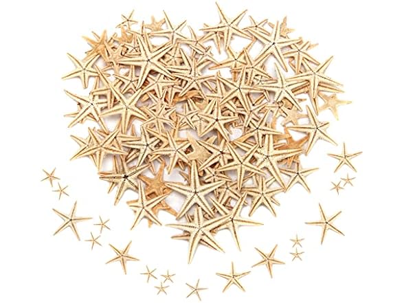 Winspeed 100pc Decorative Starfish W/ Box