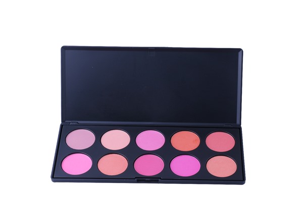 Professional 10 Colors Contour Palette