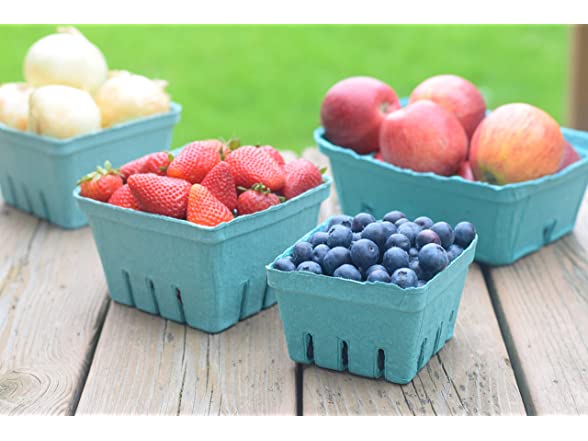 Green Molded Pulp Fiber Berry 1 Pint
