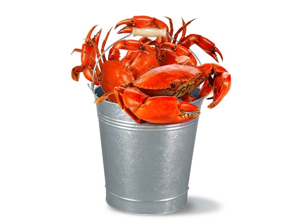Bucket of Crabs