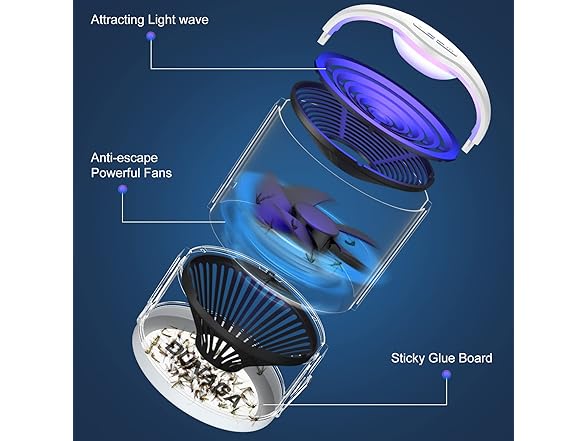 DUNAGA Fruit Fly Trap