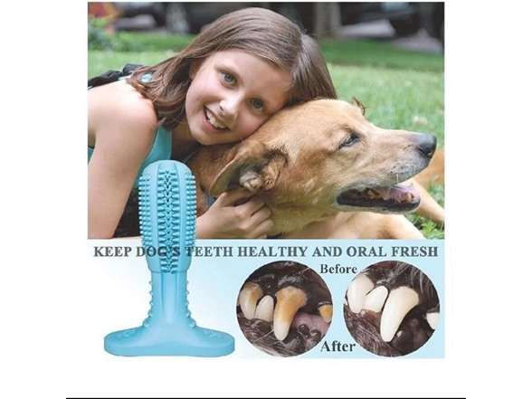 Dog Toothbrush Chewing Bone
