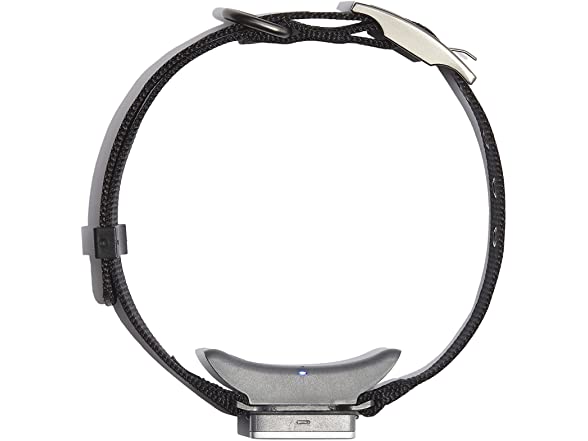 Whistle Switch Smart Collar Kit Black